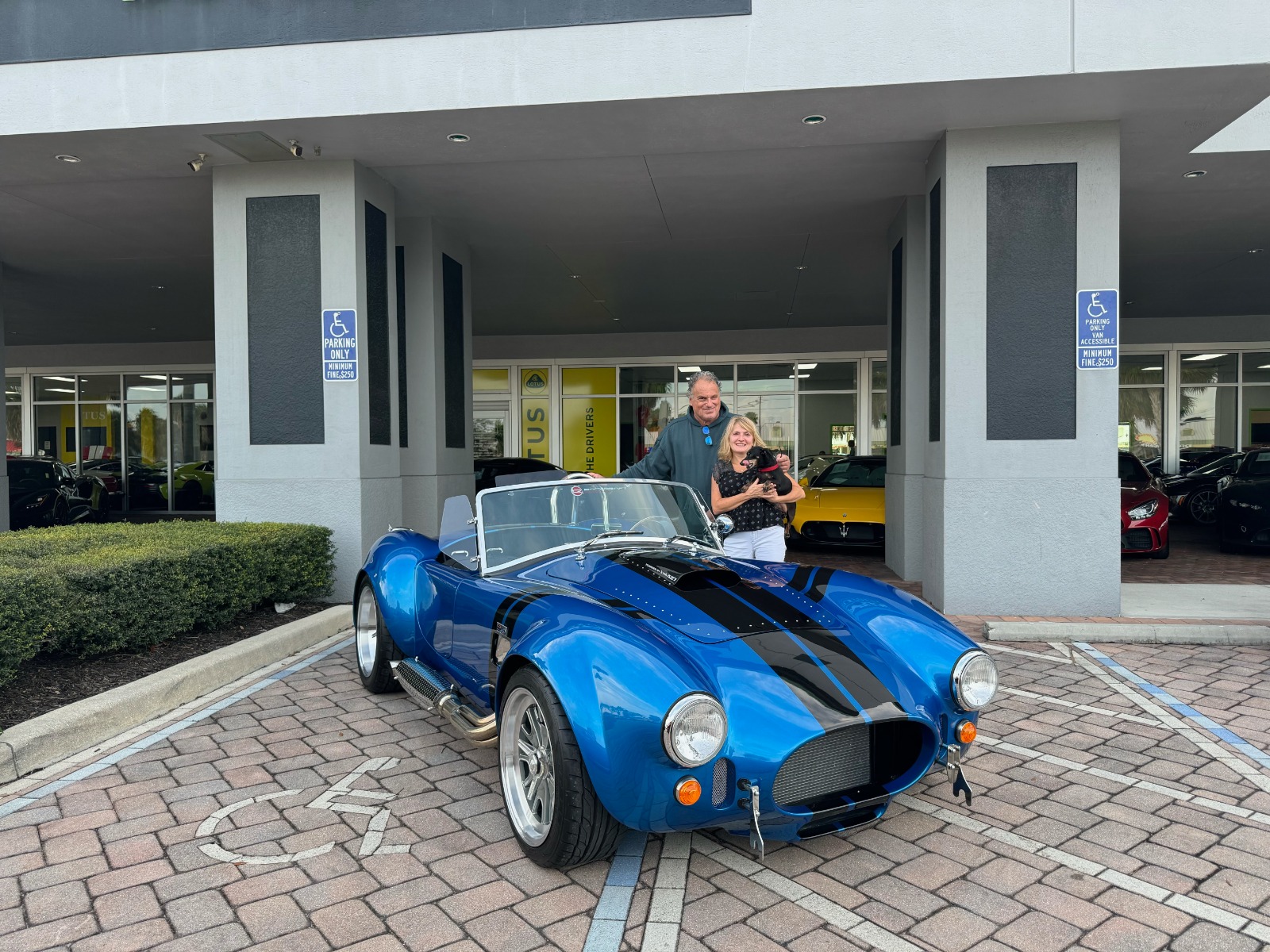 Shelby Cobra
